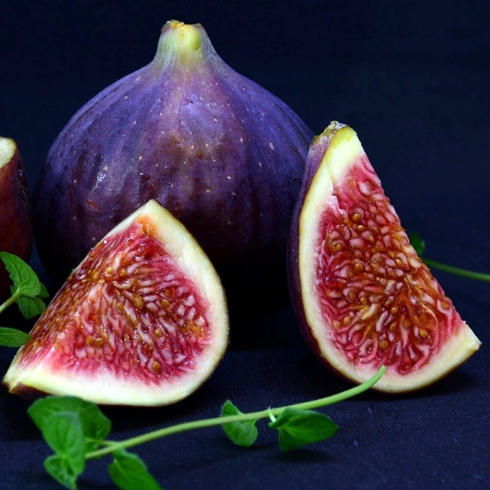 Figue Noire France - Laurent Primeurs